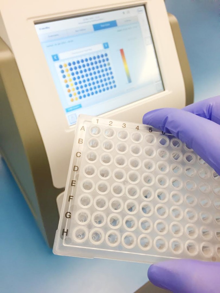 How to Improve qPCR Specificity - ScienCell Research Laboratories