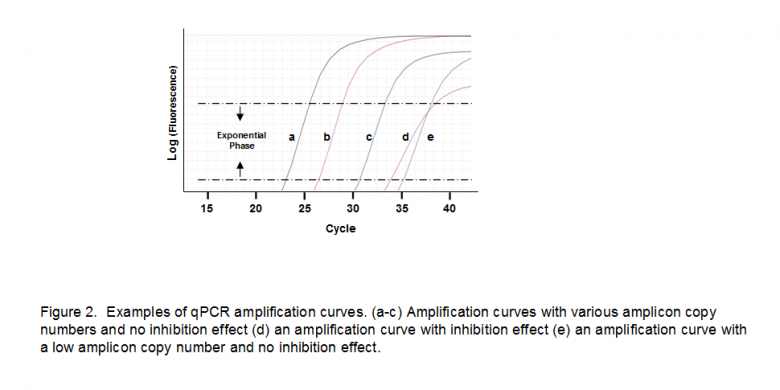 6 Tips to Improve qPCR (part 2 of 3) - ScienCell Research Laboratories