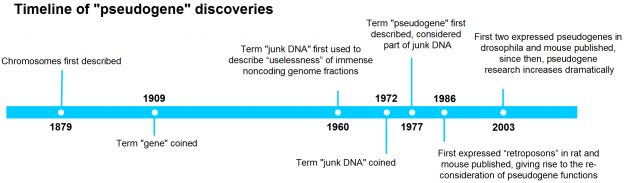 Hidden Treasure in "Junk DNA" - ScienCell Research Laboratories