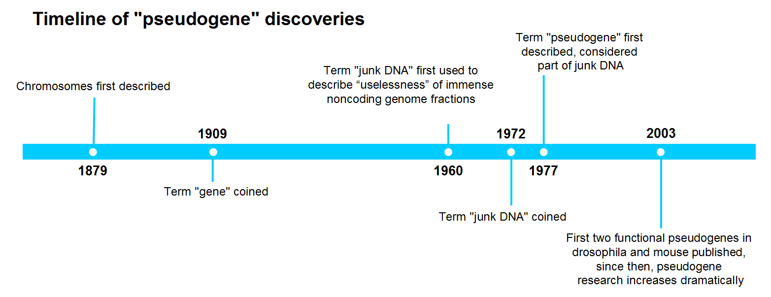 Hidden Treasure in "Junk DNA" - ScienCell Research Laboratories