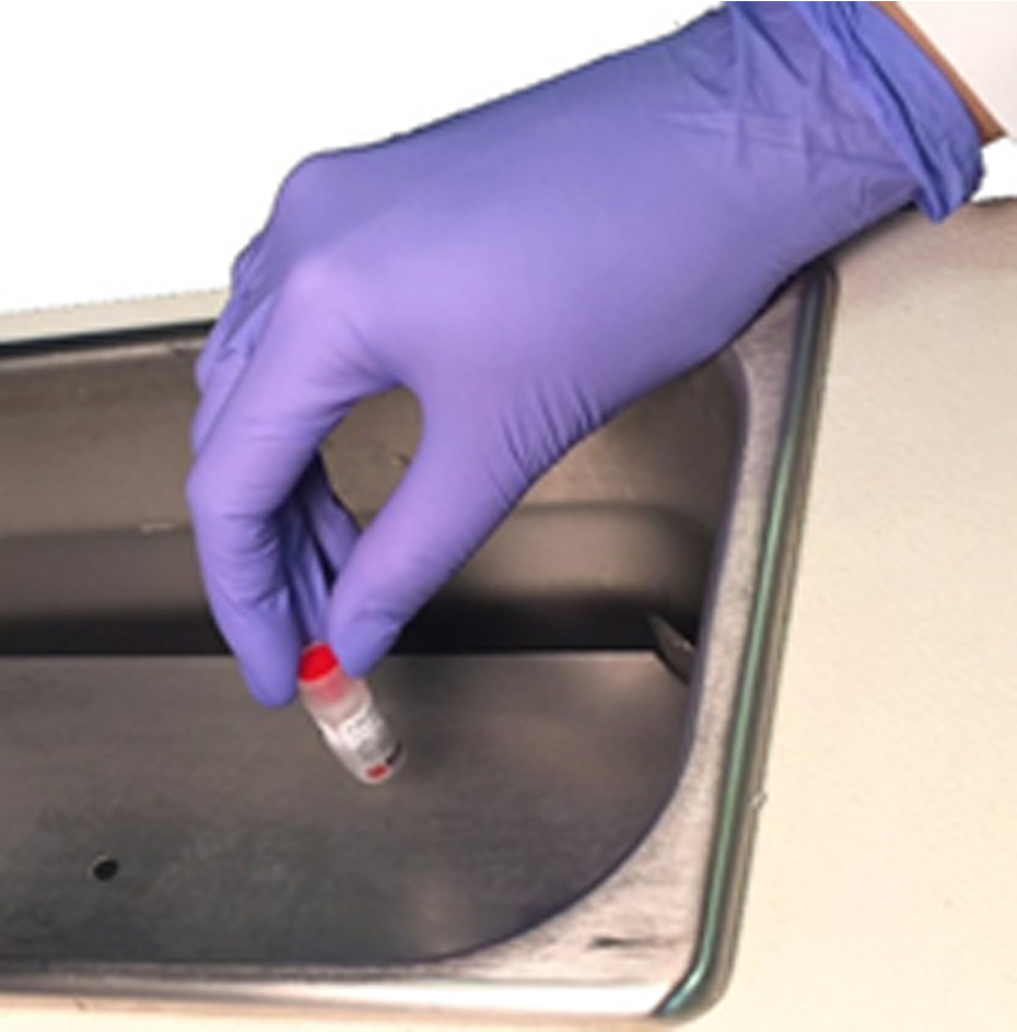 13 Technical Tips for Successful Primary Cell Culture - ScienCell ...