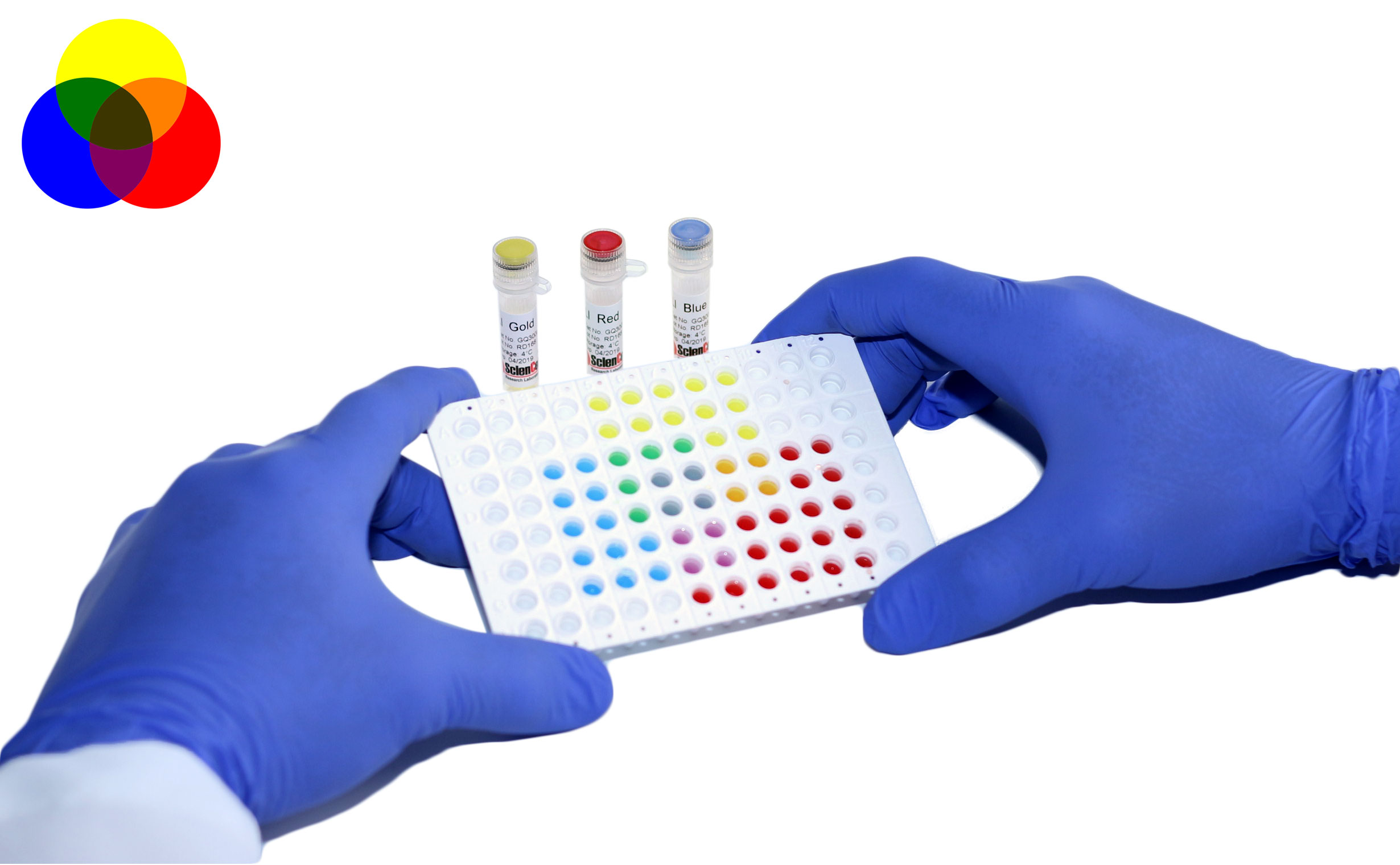 Benefits of a Colorful qPCR Loading - ScienCell Research Laboratories