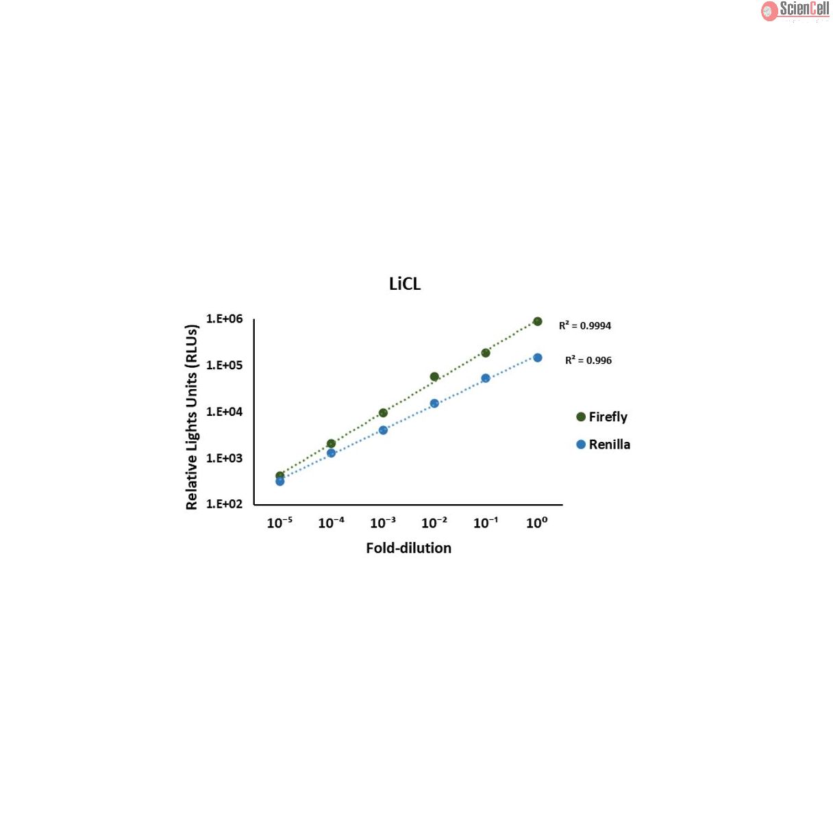 Luciferase Assay Kit (LAK)