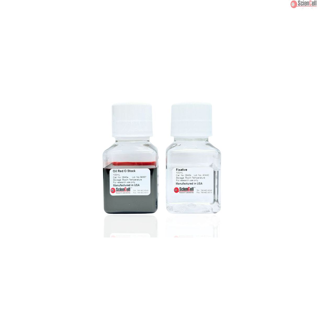 Oil Red O Staining Kit (ORed)