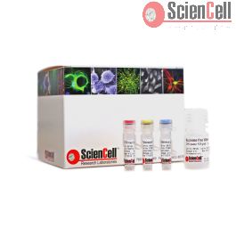 Absolute Telomere Length Quantification qPCR Assay Kit (ATLQ)...