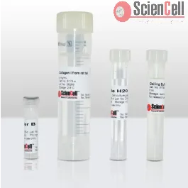 Collagen I-3D Gelling Kit (C3DGK)