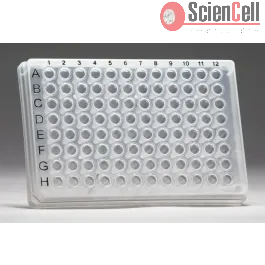 GeneQuery™ Human p53 Signaling Pathway qPCR Array Kit (GQH-p53)
