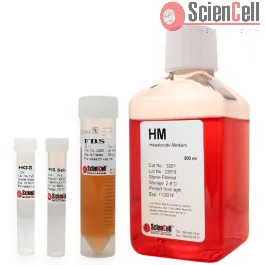 Hepatocyte Medium (HM )