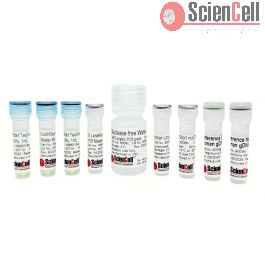 Human Nuclear DNA Damage Quantification qPCR Assay Kit (HNDQ)