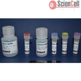 Iron Assay Kit: Accurate Measurement of Essential Element...