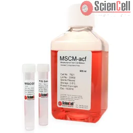 Mesenchymal Stem Cell Medium-animal component free (MSCM-acf )