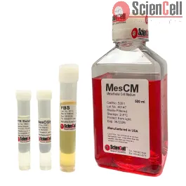 Mesothelial Cell Medium (MesCM)