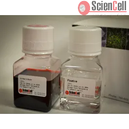 Oil Red O Staining Kit (ORed)