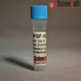 Recombinant Human Fibroblast Growth Factor-19 (rhFGF-19)