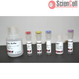 Alcohol Dehydrogenase Assay (ADH)