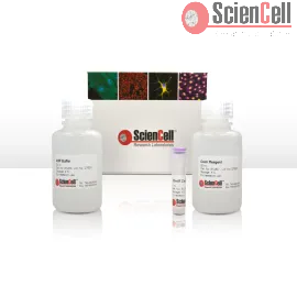 Colorimetric Calcium Assay (CCA)