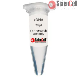 Human Cardiac Fibroblast-fetal atrial cDNA (HCF-fa cDNA)