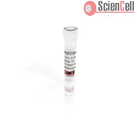 Recombinant Human Basic Fibroblast Growth Factor Plus (rhbFGFplus)