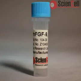 Recombinant Human Fibroblast Growth Factor-9 (rhFGF-9)
