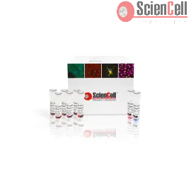 SARS-CoV-2 S Gene PCR+Sanger Sequencing Kit (SSGPS)