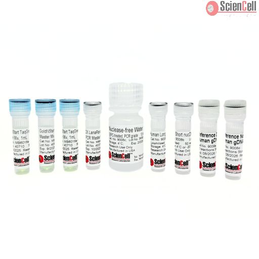 Human Nuclear DNA Damage Quantification qPCR Assay Kit (HNDQ)