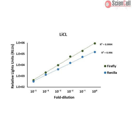Luciferase Assay Kit (LAK)