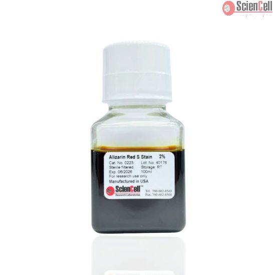 0223-SC | Alizarin Red S Staining Kit Clinisciences
