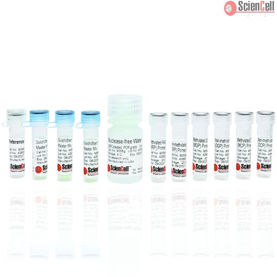 Human Cancer Promoter Methylation qPCR Assay Kit (HCPM)