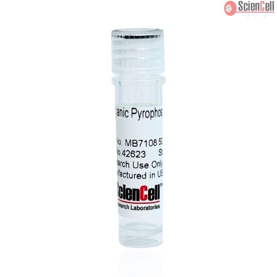 Inorganic Pyrophosphatase (E. coli) (PPase)