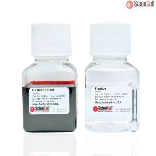 0843-SC | Oil Red O Staining Kit Clinisciences