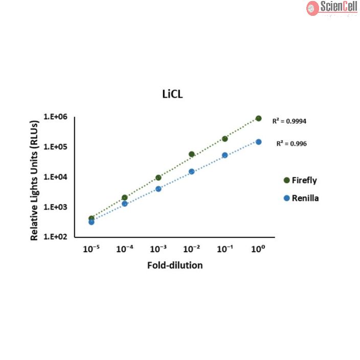 Luciferase Assay Kit (LAK)