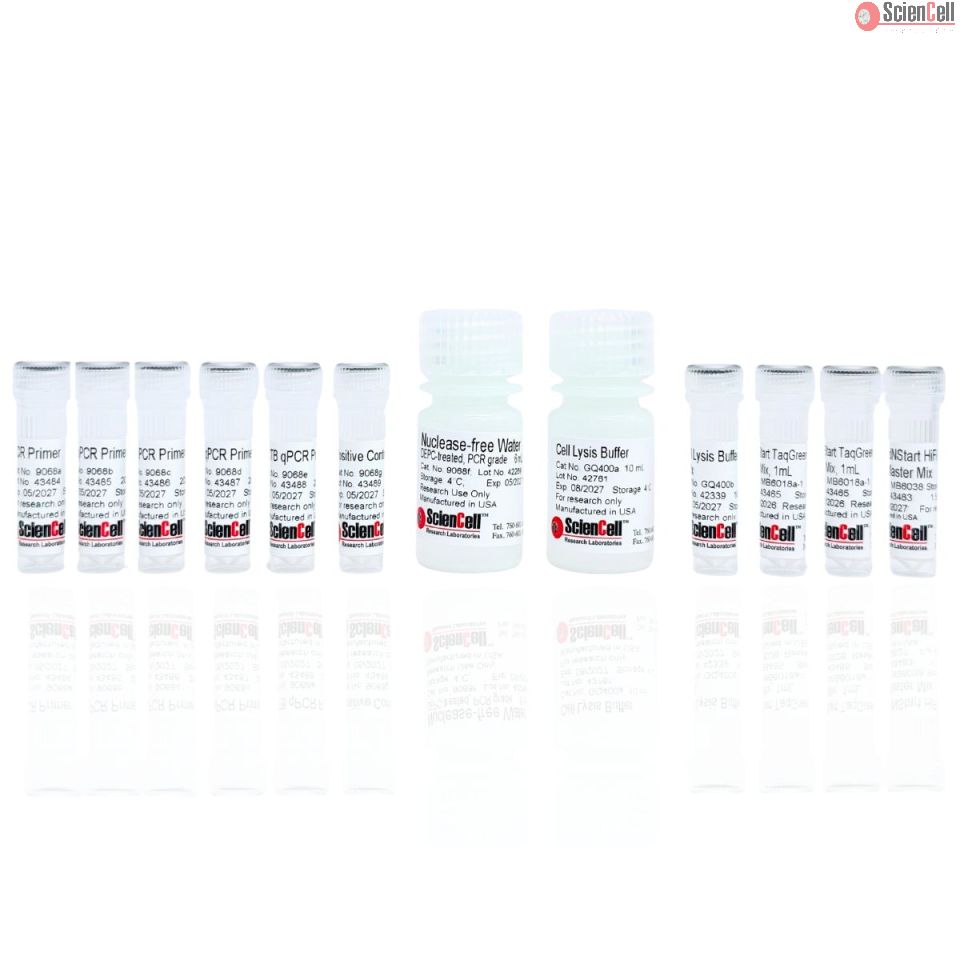 Human APOE Genotyping qPCR Assay Kit (APOE)
