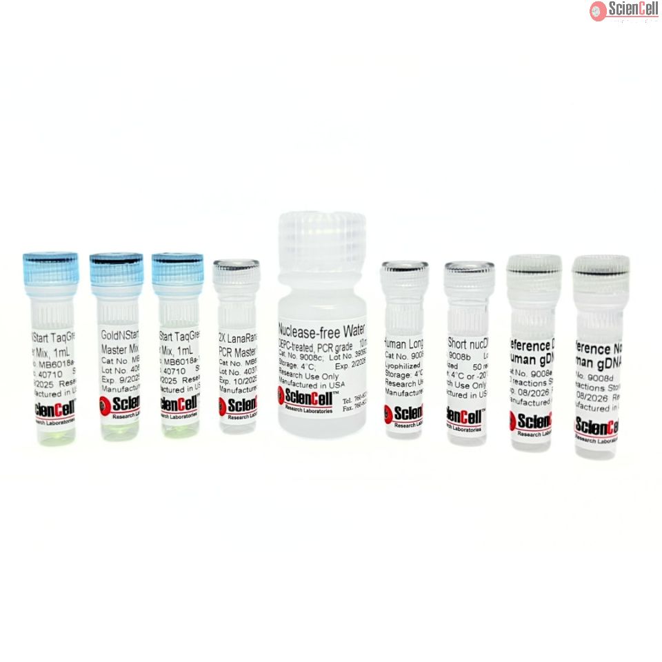Human Nuclear DNA Damage Quantification qPCR Assay Kit (HNDQ)