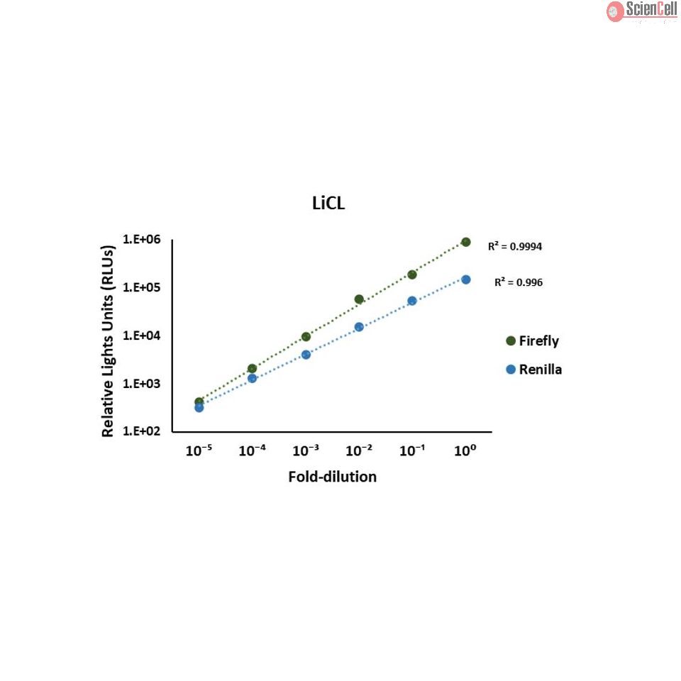 Luciferase Assay Kit (LAK)