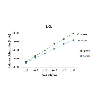 Lighting Up Cell Signaling: The Science Behind Luciferase Reporter Assays