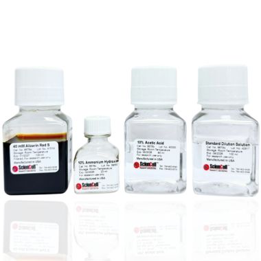 Oil Red O Staining Kit (ORed)