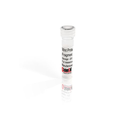 Human Schwann Cell Pellet (HSC Cell Pellet)