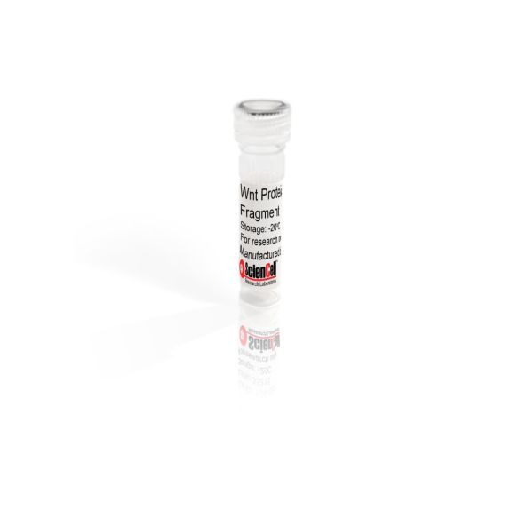 Human Schwann Cell Pellet (HSC Cell Pellet)