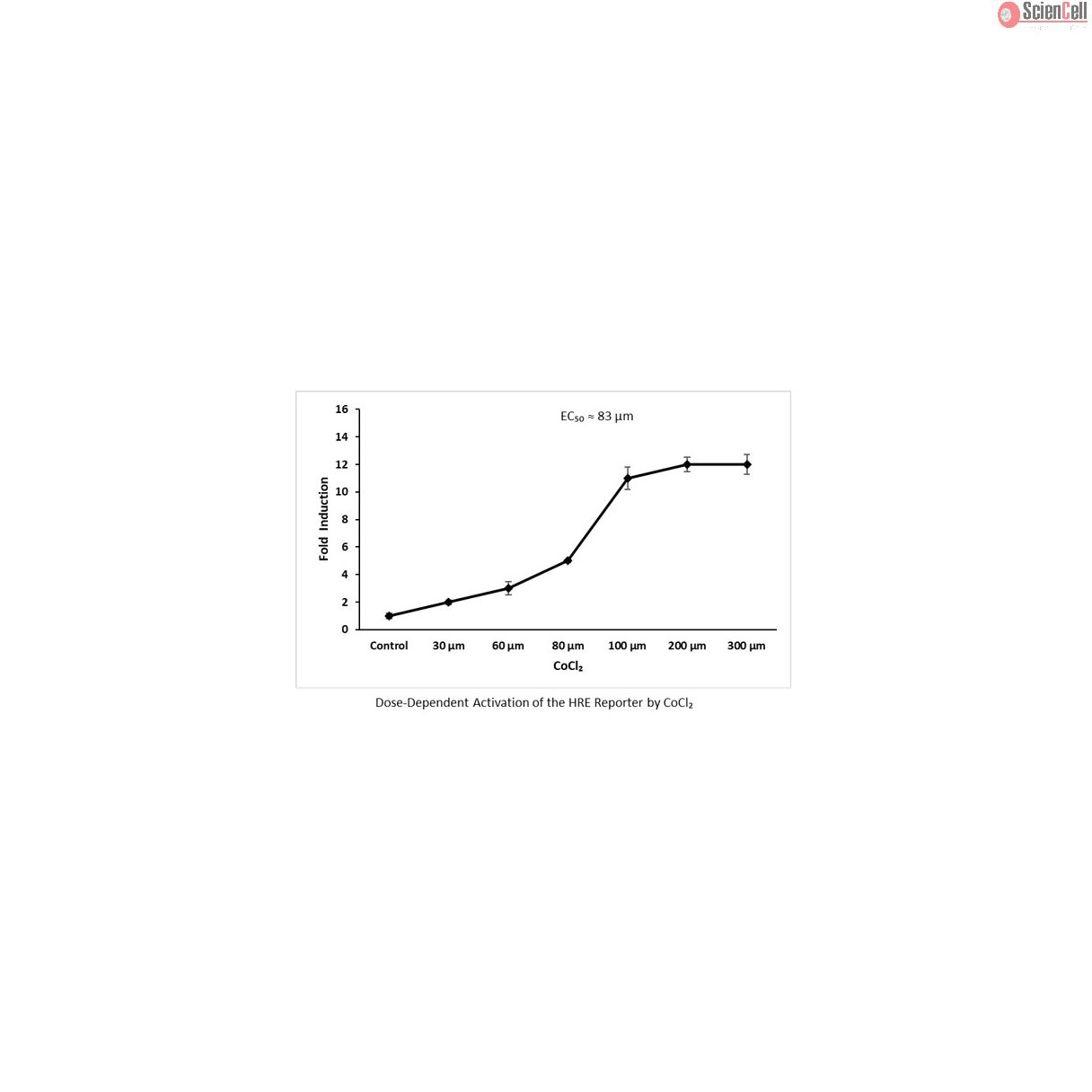 HRE Dual Reporter Vector (HRDV)