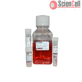 3D-Chondrocyte Spheroid Medium (3D-CSpM)