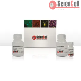 Alkaline Phosphatase Staining Assay (Red) (ALPr )