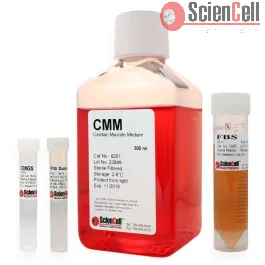 Cardiac Myocyte Medium (CMM)