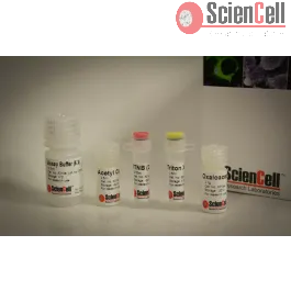 Citrate Synthase Assay (CS)