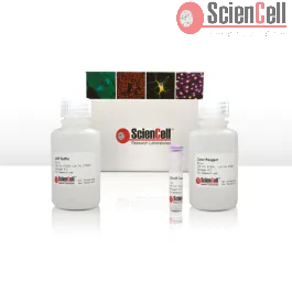 Colorimetric Calcium Assay (CCA)