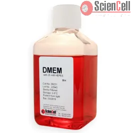 DMEM with L-Glutamine, Sodium Pyruvate and HEPES (DMEM)
