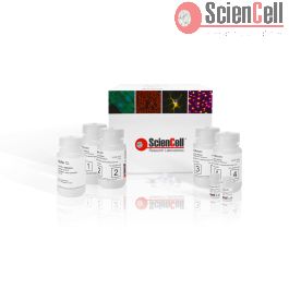 DualPrep DNA/RNA Isolation Kit (DPDRI)
