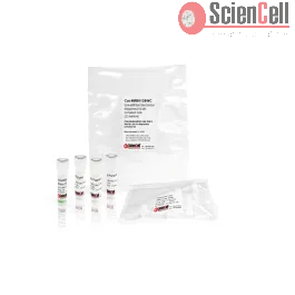 EmeraldNStart Site-Directed Mutagenesis Kit, 20 reactions