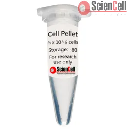 Human Lymphatic Fibroblast Cell Pellet (HLF Cell Pellet)