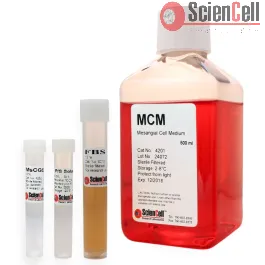 Mesangial Cell Medium (MCM )