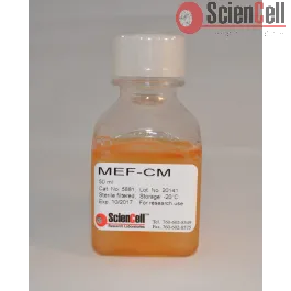 Mouse Embryonic Fibroblast-Conditioned Medium (MEF-cm)